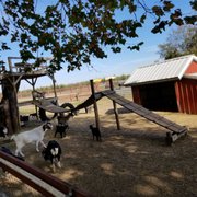 Johnson’s Corner Farm - 220 Photos & 133 Reviews - Fruits & Veggies ...