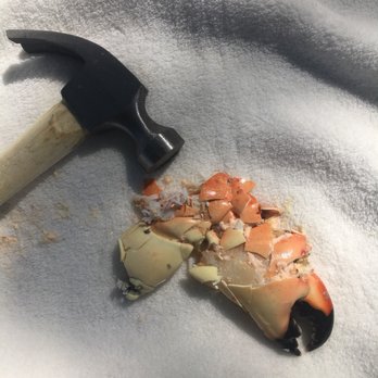 Blue Runner Seafood - 2019 All You Need to Know BEFORE You Go (with ...