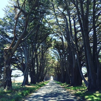 Point Reyes National Seashore - 1322 Photos & 348 Reviews - Parks - 1 ...