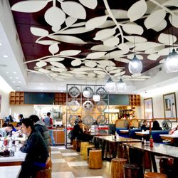 Chi Cafe - Order Food Online - 1273 Photos & 1061 Reviews - Chinese ...