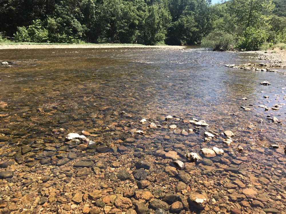 Sam A Baker State Park - Parks - RR 1, Patterson, MO - Phone Number - Yelp