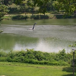 Powderhorn Park - 29 Photos & 14 Reviews - Parks - 821 E 35th St ...