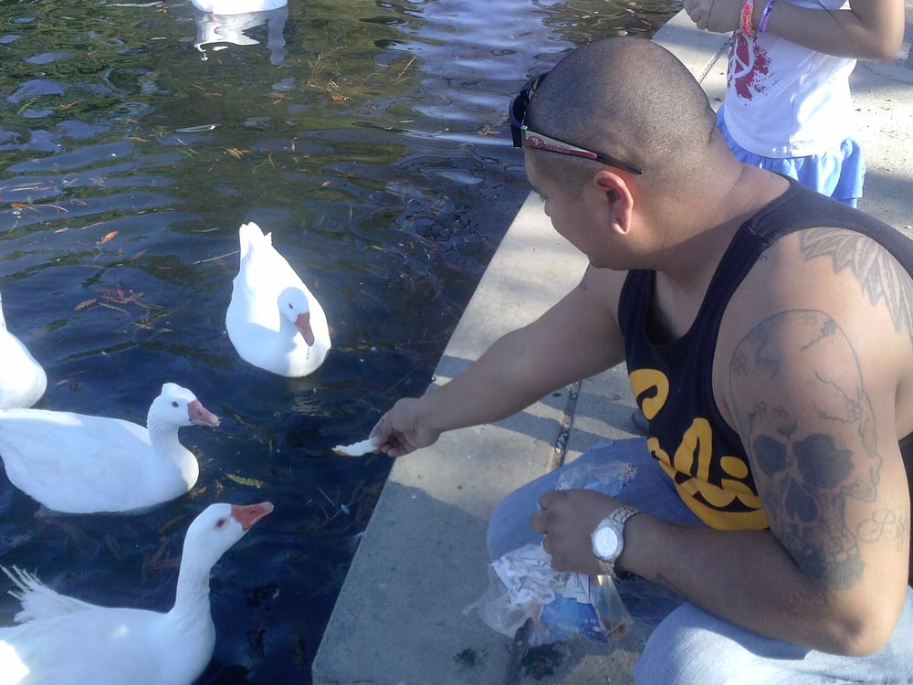 Seccombe Lake Park - Parks - 160 W 5th St, San Bernardino, CA - Phone ...