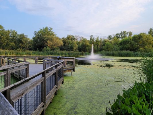 Addison, IL Map & Directions - MapQuest