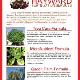 Hayward Tree Service - 30 Photos & 52 Reviews - Tree Services - 6721 N ...