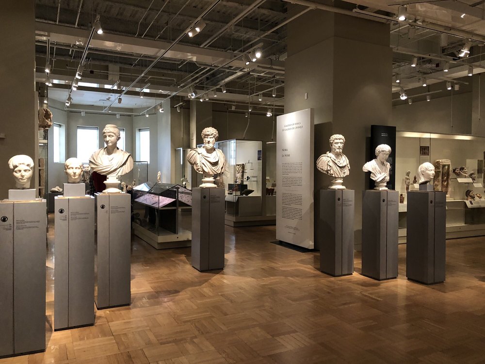 Visitor's Guide to the Royal Ontario Museum in Toronto