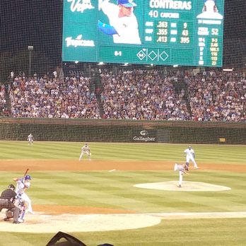 Wrigley Field - Check Availability - 3546 Photos & 1450 Reviews ...