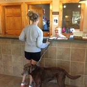 Forest Ridge Kennel - 14 Photos - Pet Sitting - 2065 Sand Hill Rd ...