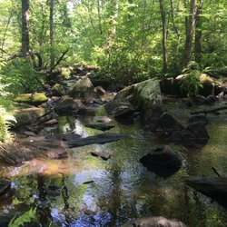 Mass Audubon Broad Meadow Brook Wildlife Sanctuary - 36 Photos - Hiking ...