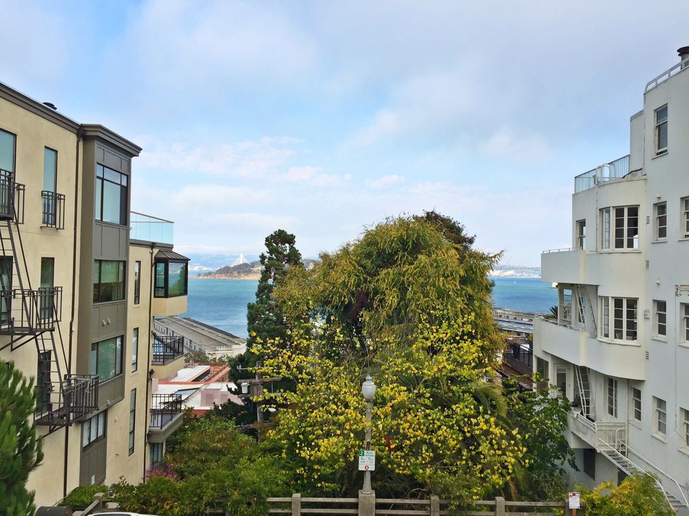 Filbert Steps - 341 Photos & 233 Reviews - Local Flavor - Filbert St ...