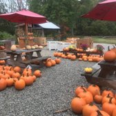 Outpost Farm - 26 Photos & 50 Reviews - CSA - 216 Prentice St ...