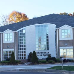 Connecticut Humane Society - 23 Photos & 30 Reviews - Animal Shelters ...