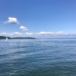 Point Defiance Marina & Boathouse - Parks - 5912 N Waterfront Dr ...