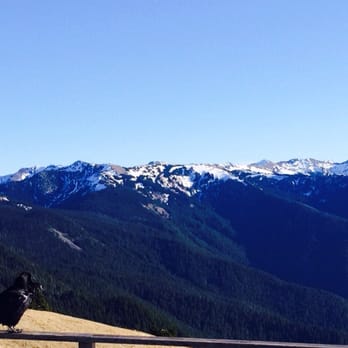 Hurricane Ridge - 83 Photos & 31 Reviews - Parks - 600 E Park Ave, Port ...