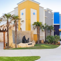 Crossroads Christian Church - 19 Photos - Churches - 6450 S State Hwy ...