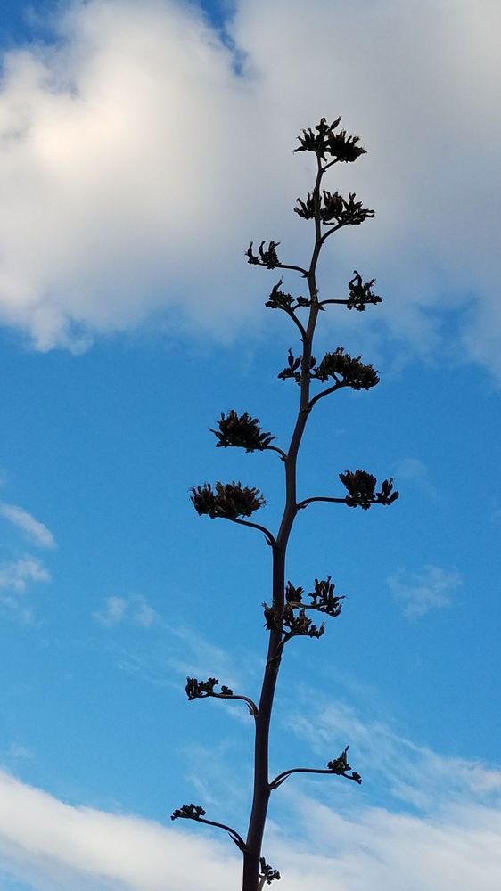 US Forest Service Red Rock Ranger Station - 92 Photos & 16 Reviews ...