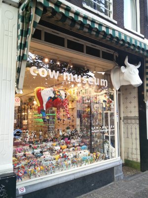 Cow Museum - Shopping - Leliegracht 4, Centrum, Amsterdam, Noord ...