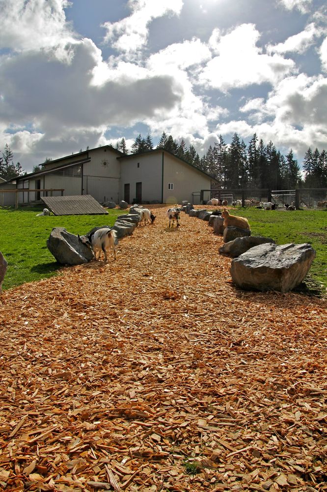 Left Foot Farm - 13 Photos - Attraction Farms - 31510 44th Ave E ...