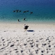 Tigertail Lake Recreational Center - 13 Photos - Scuba Diving - 580 ...