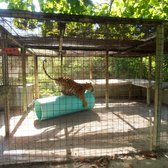 Octagon Wildlife Sanctuary - 52 Photos & 27 Reviews - Parks - 41660 ...