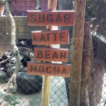 Applegate Park Zoo - 2019 All You Need to Know BEFORE You Go (with ...