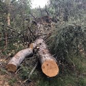 Fryman Canyon Park - 119 Photos & 58 Reviews - Hiking - 8401 Mulholland ...