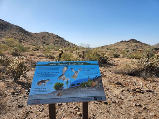 Buckeye, AZ Map & Directions - MapQuest