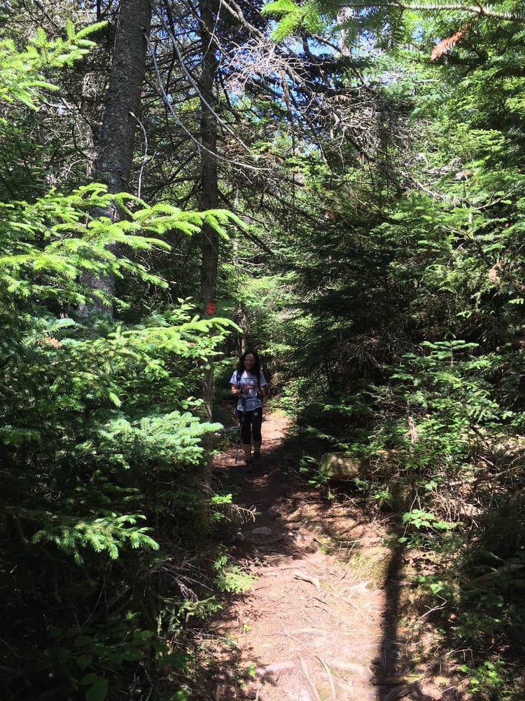 Devils Path - 17 Photos - Hiking - Prediger Trail Head Rd, Elka Park ...