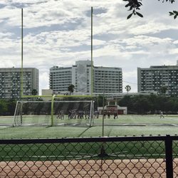 Flamingo Park - 2019 All You Need to Know BEFORE You Go (with Photos ...