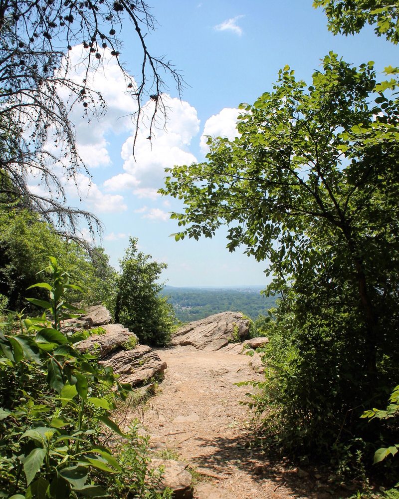 Ruffner Mountain - 51 Photos & 17 Reviews - Hiking - 1214 81st St S ...