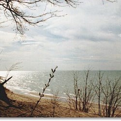 Union Pier Beach - 2019 All You Need to Know BEFORE You Go (with Photos ...