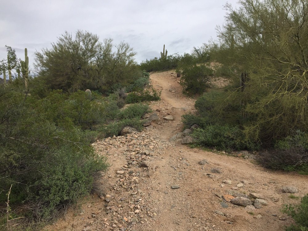 Hawes Trail System - Parks - Mesa, AZ - Last Updated January 25, 2019 ...