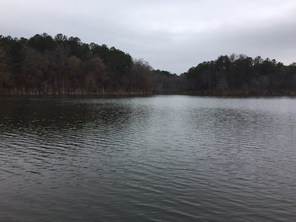 Piedmont National Wildlife Refuge - 41 Photos - Hiking - 718 Juliette ...