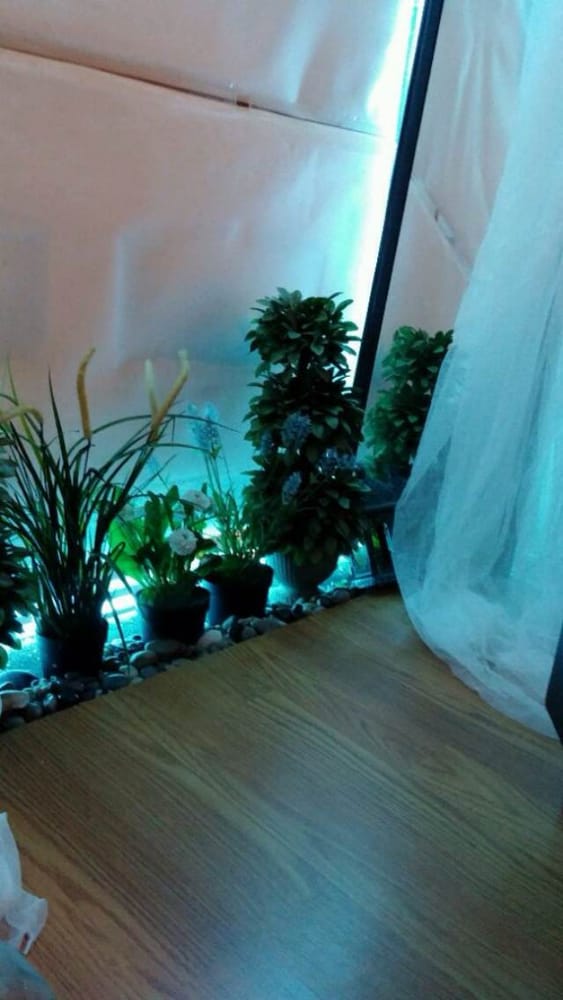 Yeah Man Spa - 25 Reviews - Massage - 123 Allen St, Lower East Side, New York, NY - Phone Number ...