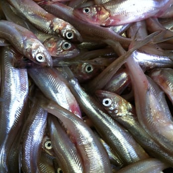 Monterey Fish Company - 100 Photos & 60 Reviews - Seafood Markets ...
