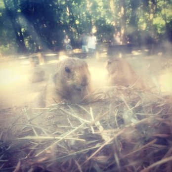 Connecticut’s Beardsley Zoo - 95 Photos & 62 Reviews - Zoos - 1875 ...