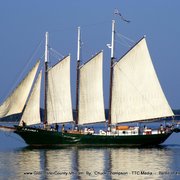 Gloucester Point Beach Park - 118 Photos - Parks - 1255 Greate Rd ...