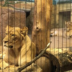 Racine Zoo - 77 Photos & 25 Reviews - Zoos - 2131 N Main St, Racine, WI ...