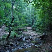 Big Trees Forest Preserve - 91 Photos & 25 Reviews - Parks - 7645 ...