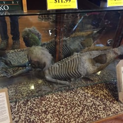 Banff Indian Trading Post - Arts & Crafts - 101 Cave Avenue, Banff, AB ...