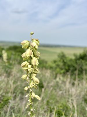 Assaria, KS Map & Directions - MapQuest