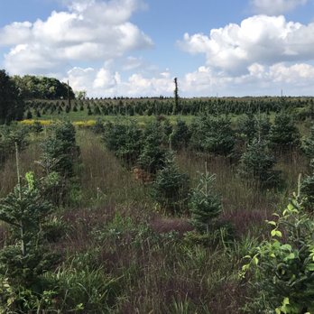 Wilkens Fruit and Fir Farm - 130 Photos & 70 Reviews - Fruits & Veggies ...