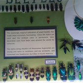 Insectropolis - 39 Photos & 17 Reviews - Children's Museums - 1761 Rte ...