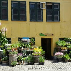 Fiol Blomster - Florists - Fiolstræde 18, København K, Copenhagen ...