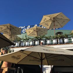 Telefónica Gastro Park - 331 Photos & 114 Reviews - Food Trucks - Blvd ...