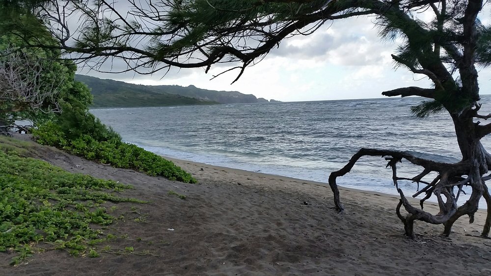 Waihee Beach Park - 28 Photos - Beaches - 200 Halewaiu Rd, Wailuku, HI ...