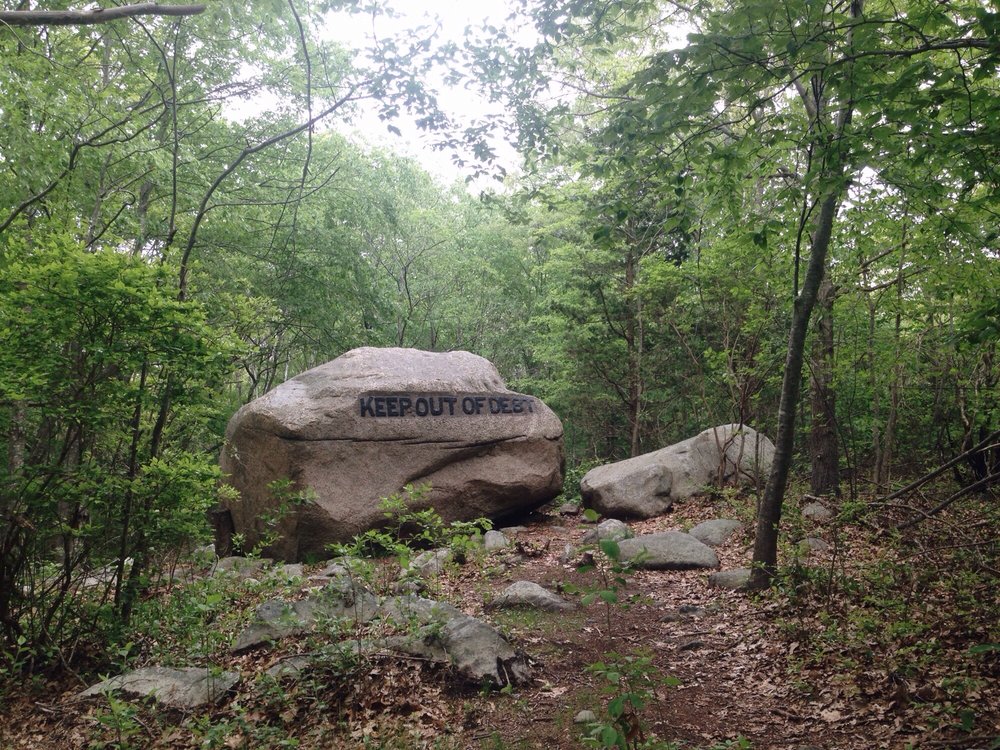 Dogtown Common - 24 Photos - Local Flavor - Dogtown Rd, Gloucester, MA ...