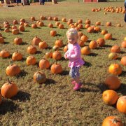 Hill Ridge Farms - 98 Photos & 37 Reviews - Farms - 703 Tarboro Rd ...