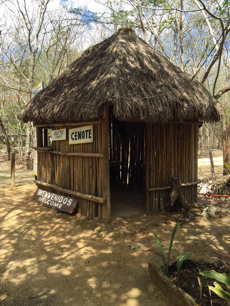 Cenote Zazil Há - 13 Photos - Diving - Carretera 109, Tulum, Quintana ...