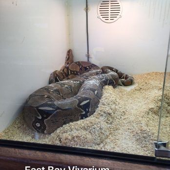 East Bay Vivarium - 205 Photos & 430 Reviews - Reptile Shops - 1827 5th ...